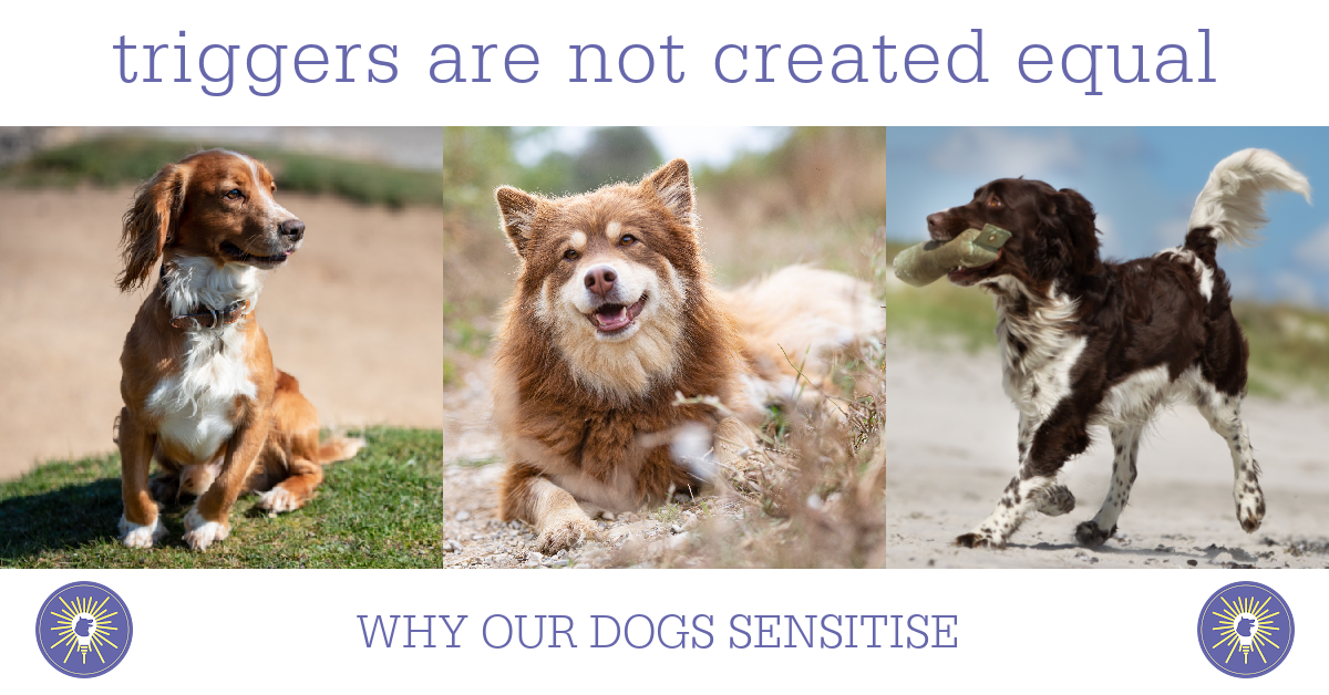 Triggers are not created equal: why our dogs sensitise